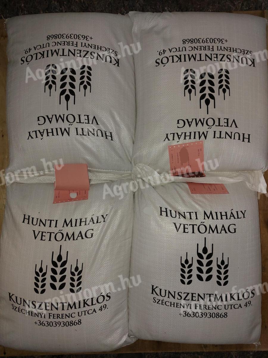 Fémzárolt lucernamag és arankamentes lucerna mag eladó - Bács-Kiskun ...