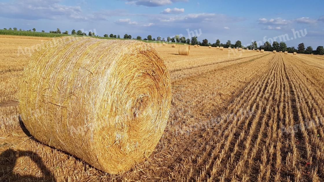 2026 árpa szalma eladó - Tolna vármegye 7086 Ozora - Agroinform.hu