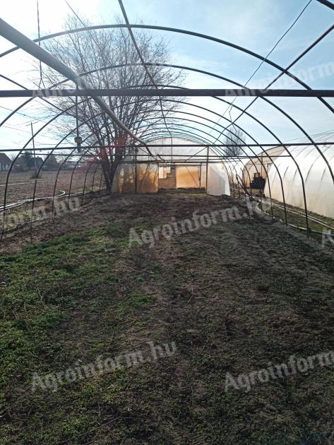 Fóliaváz eladó - Csongrád-Csanád vármegye Mórahalom - Agroinform.hu