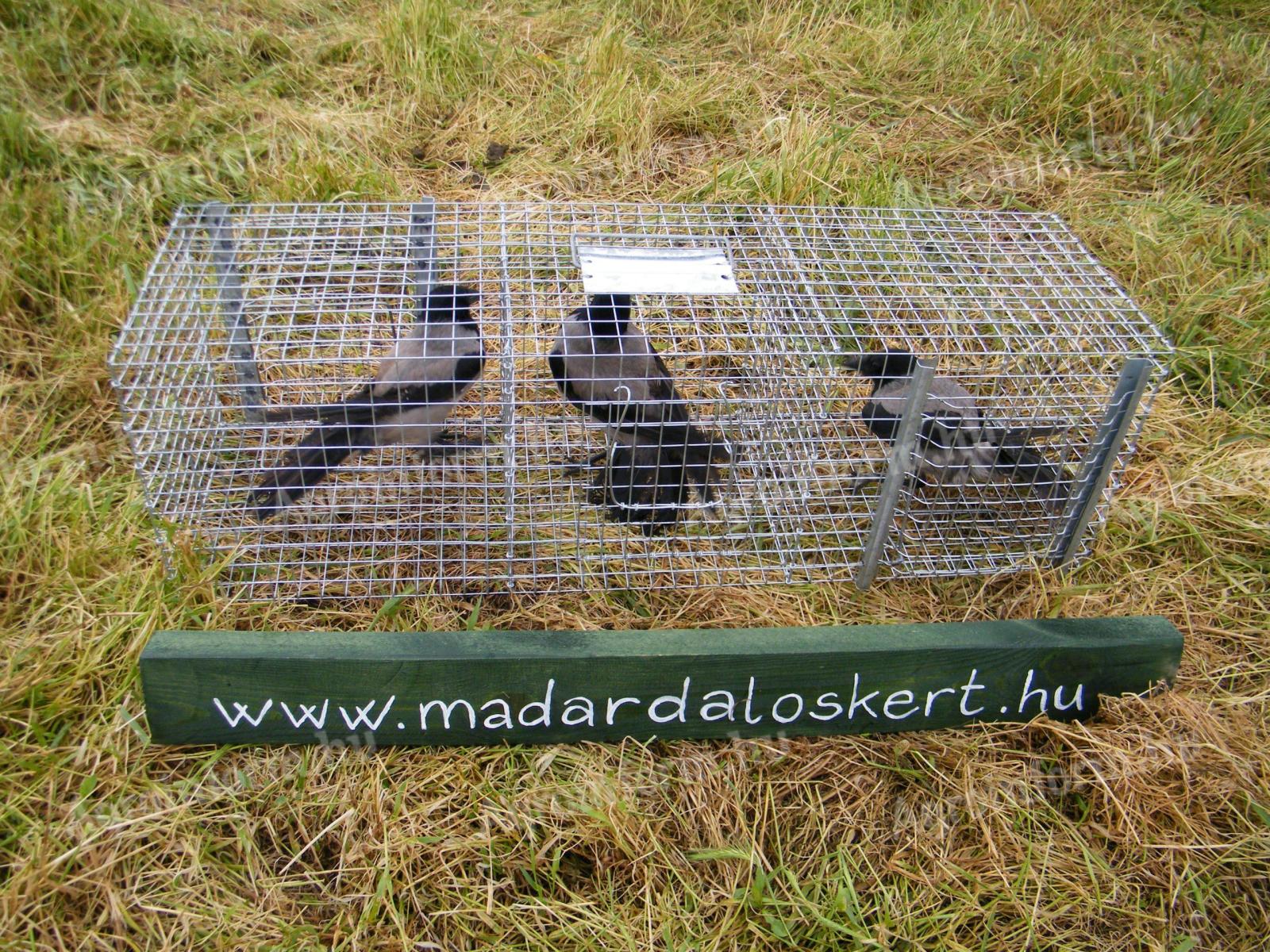 Szarka csapda eladó - Zala vármegye 8360 Keszthely - Agroinform.hu
