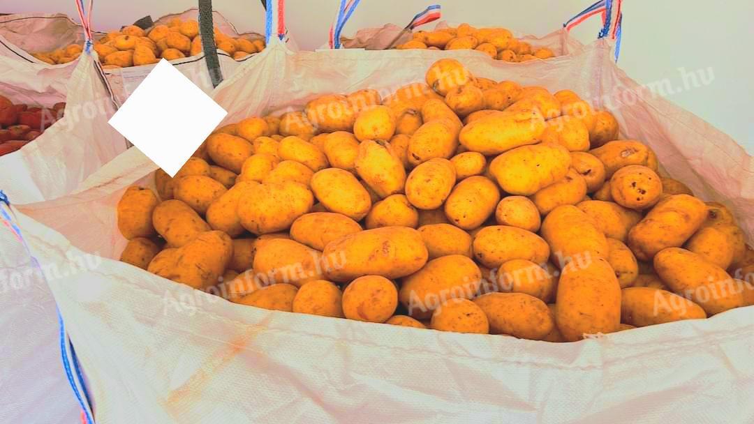 Sárga burgonya extra - Borsod-Abaúj Zemplén vármegye 3521 Miskolc ...