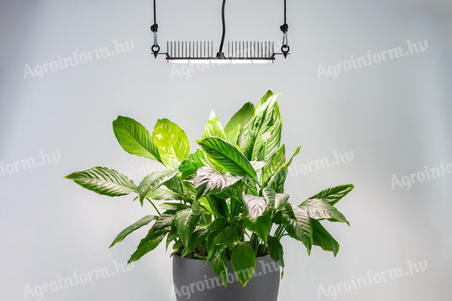 Ledium Black Sparkle® növényvilágító LED DIY készlet, teljes spektrumú ...