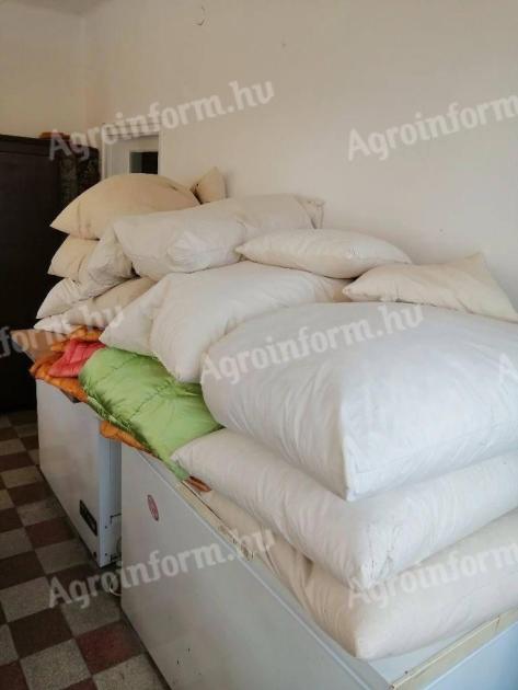 Tollfelvásárlás: libatoll, kacsatoll, dunna, párna, paplan, pehely ...