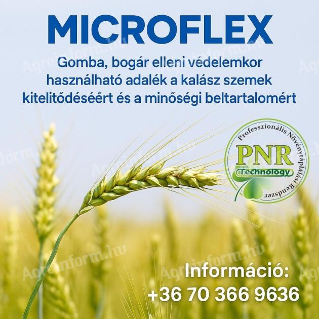 Gomba bogár elleni védelemkor használható adalék a szemek ...