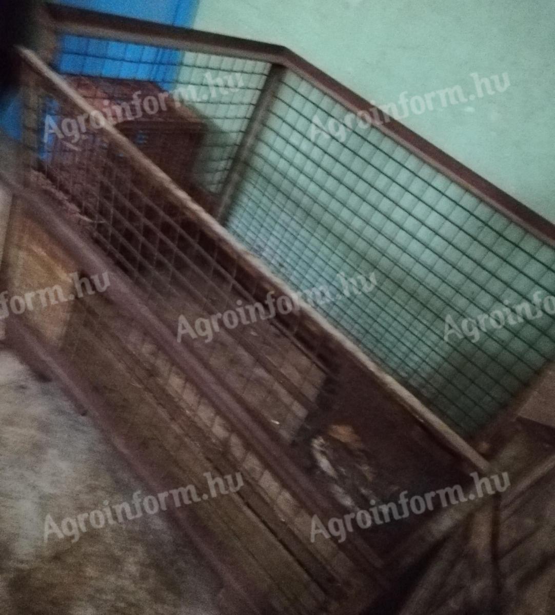 Gitterbox - Pest vármegye 2220 Vecsés - Agroinform.hu