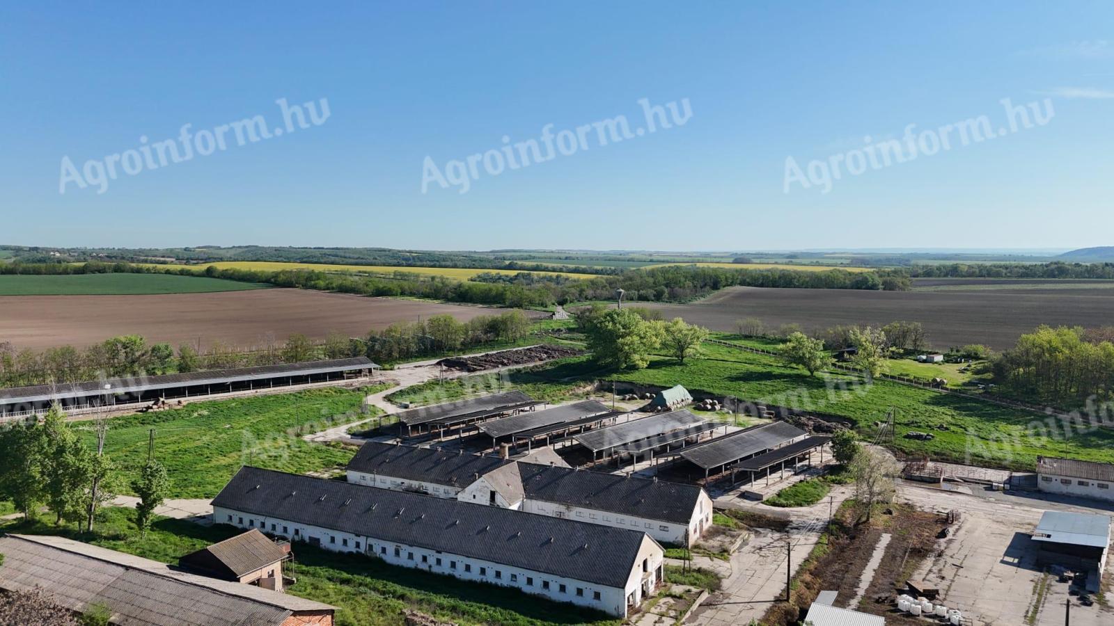 Tolna – Szarvasmarha telep Felsőnánán, 93 900 m², eladó! Mellette lehetőség 400 ha földterület ...