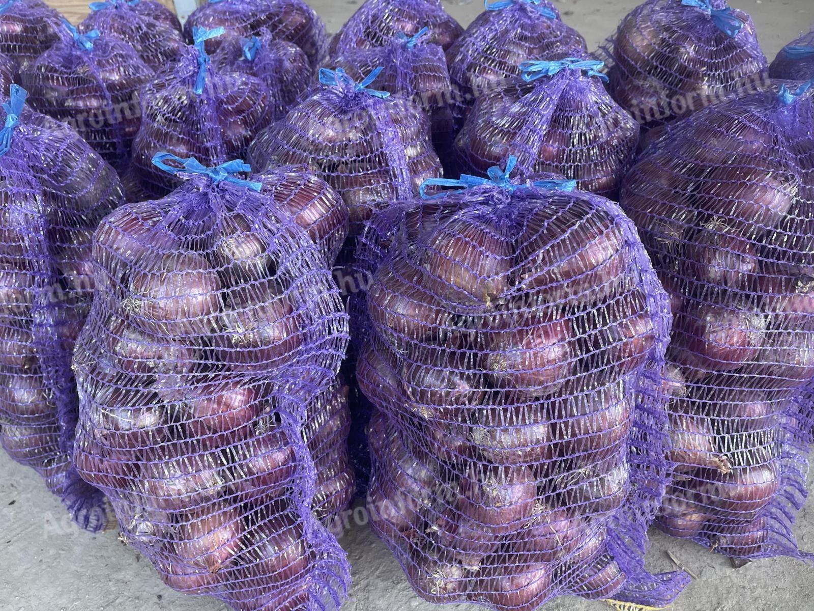 Lilahagyma ELADÓ - Bács-Kiskun vármegye 6352 Fajsz - Agroinform.hu