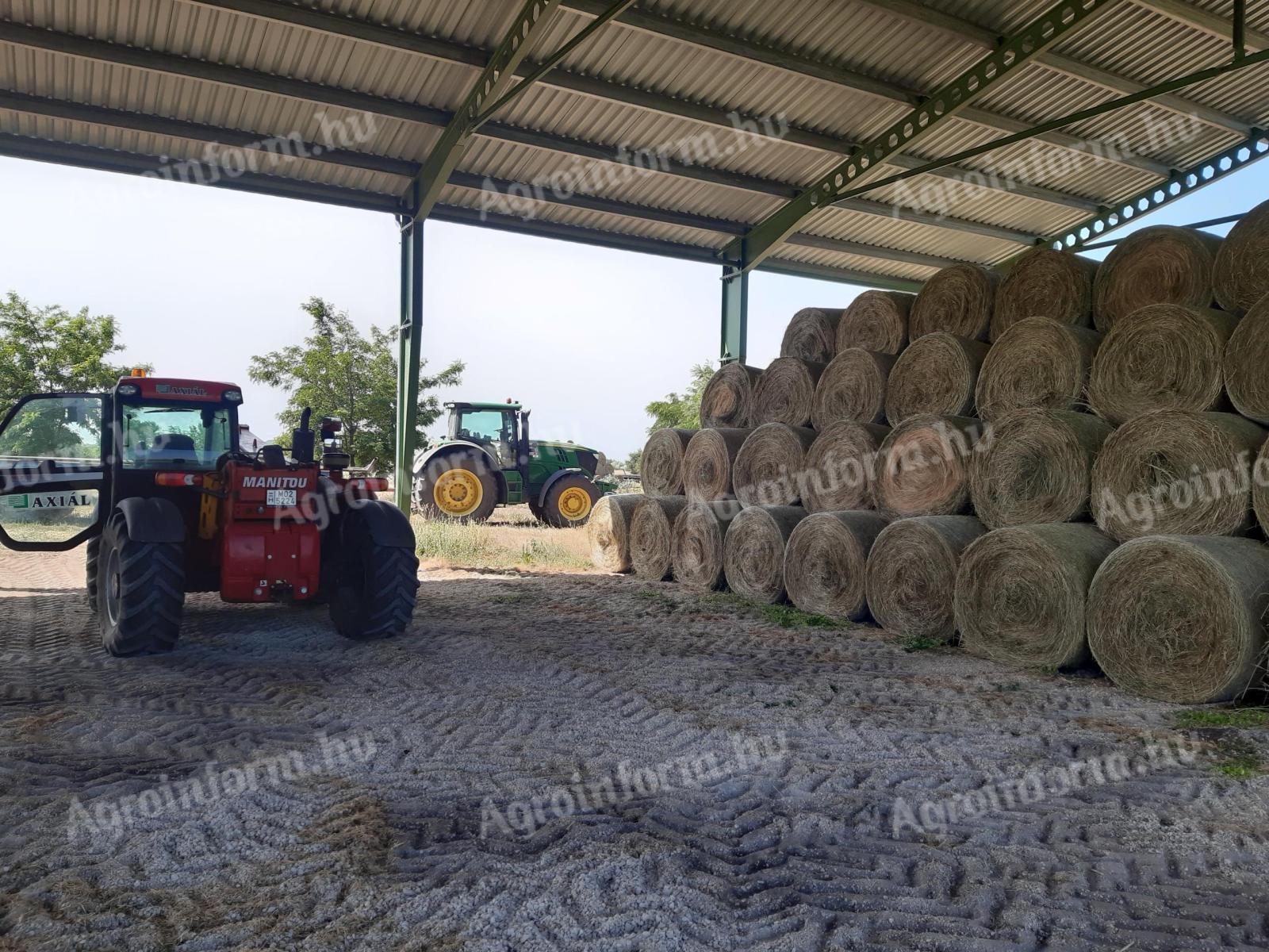 Munkaerőt keresünk Fejér megyei szarvasmarha telepre - Fejér vármegye ...