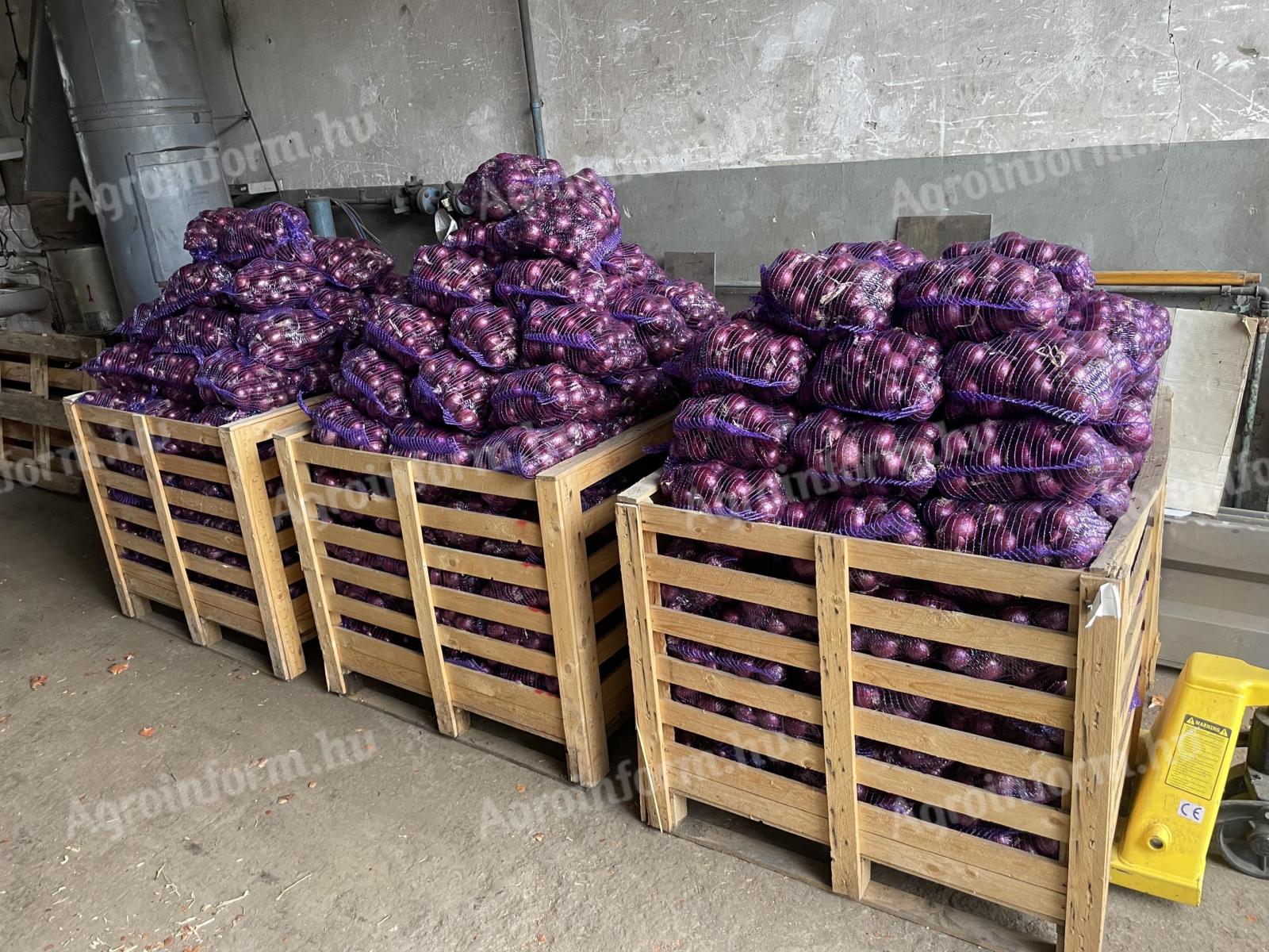 Eladó lilahagyma - Békés vármegye 5675 Telekgerendás - Agroinform.hu