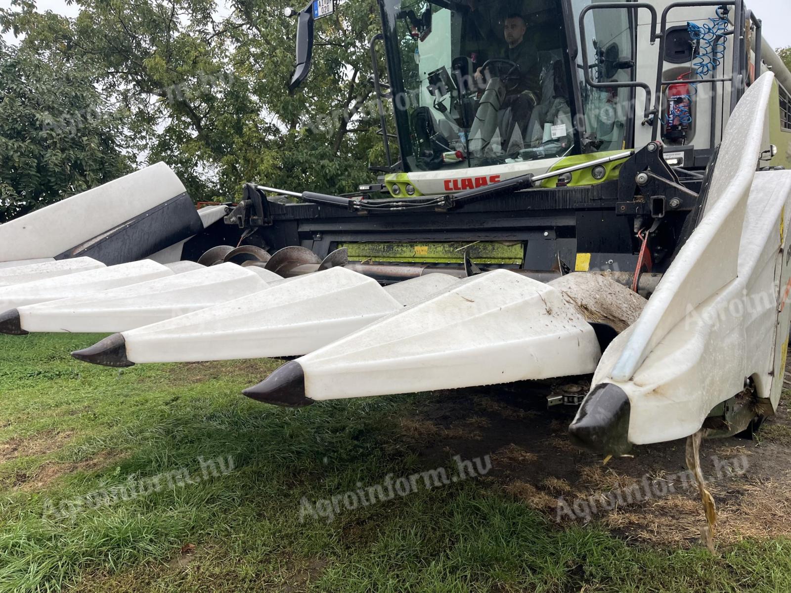 Oros Cornado 4+2 CHOP kukorica vágóasztal Claas adapterhez eladó ...