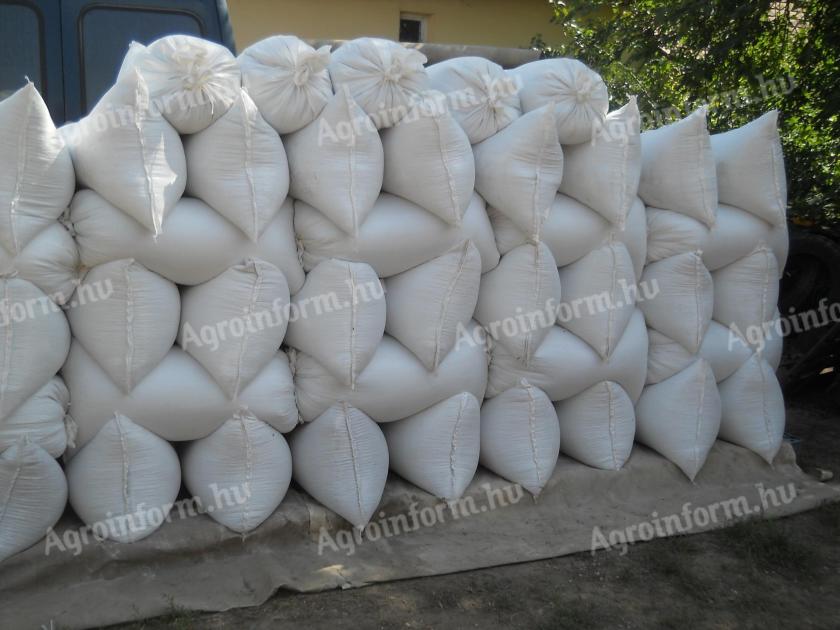 Eladó takarmány árpa vegyszer- és műtrágya nélkül, zsákolva, 50 kg-os ...