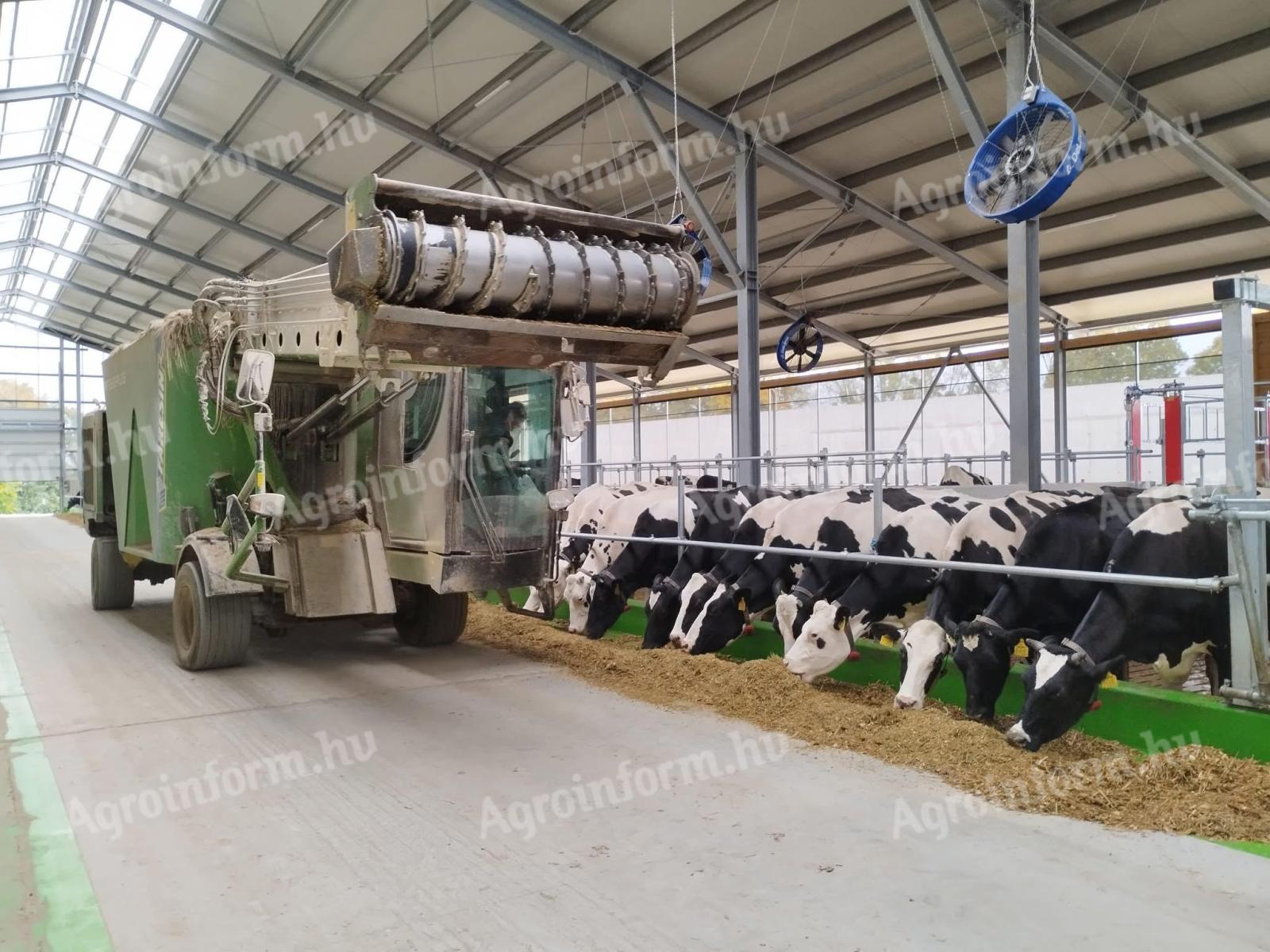 Állattartó telepi munkalehetőségek Pókaszepetken – Szarvasmarha telepi ...