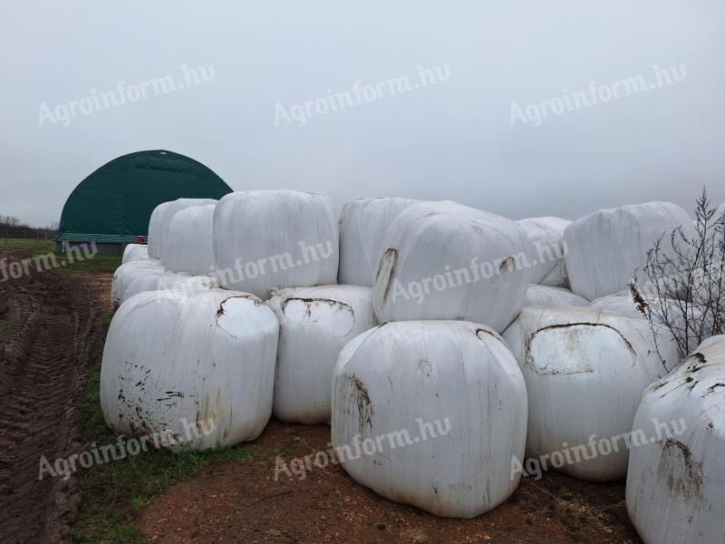 Lucerna szenázs - Vas vármegye 9512 Ostffyasszonyfa - Agroinform.hu