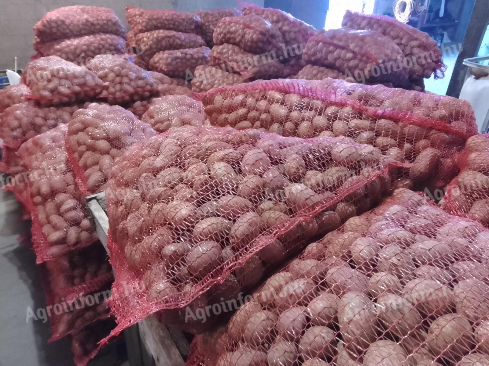 Burgonya, vető méretű korai - Pest vármegye 2193 Galgahévíz - Agroinform.hu