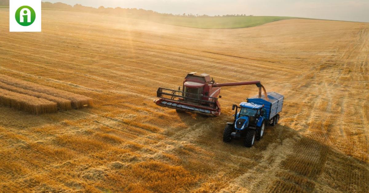 Zuhan a búza ára - Agroinform.hu
