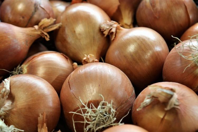 Erre gyanakodj először, ha kicsírázik a hagyma tároláskor! - Agroinform.hu