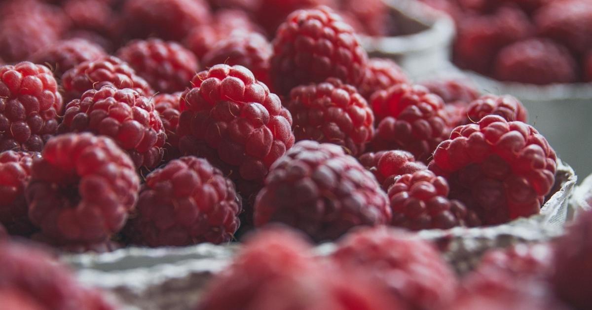Szedd magad málna 2025: ezekre a lelőhelyekre érdemes menni - Agroinform.hu